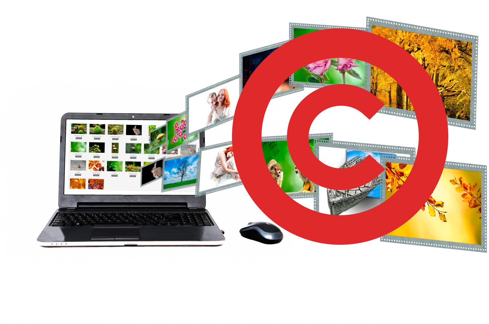 Ajoutez facilement des filigranes à vos photos par lots. Logiciel de ...