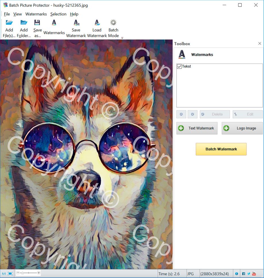 Ajoutez facilement des filigranes à vos photos par lots. Logiciel de ...